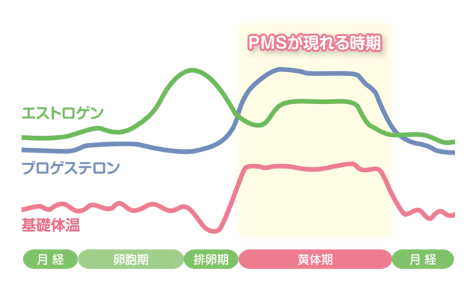 2201pms2 | ゆたか倶楽部